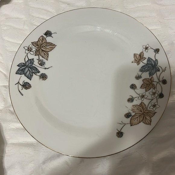 heirloom china | Kitchen | Rare China Heirloom China Berrydont Have The ...